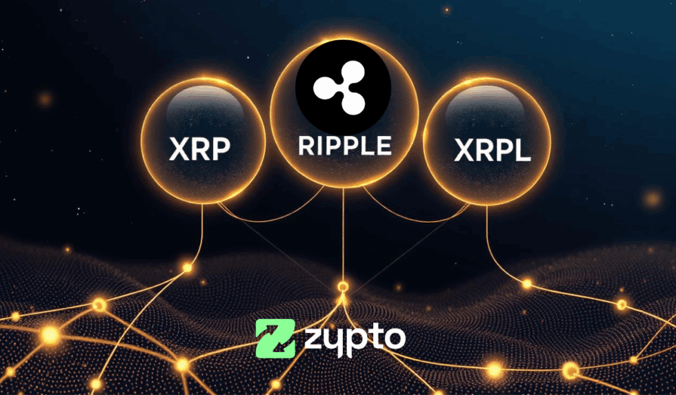 Ripple vs XRP vs XRPL: The Differences & The Best Ripple Wallet